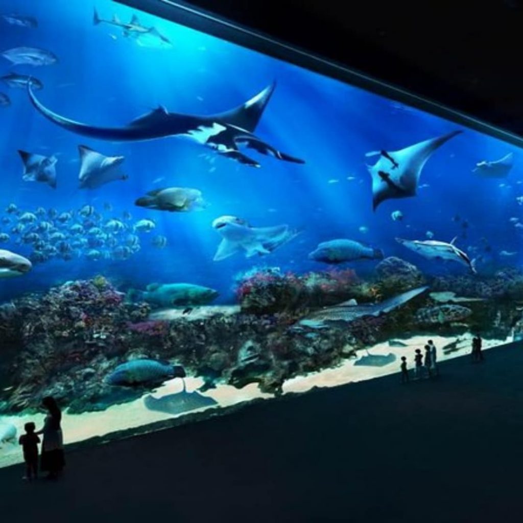 Pulau Sentosa Fun Walking Tour in Singapore – Tourism Rainbow 2021